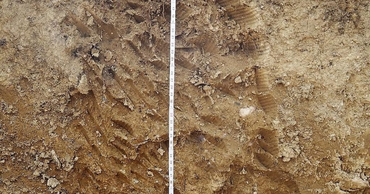 System Site Plans: Soil Evaluation, Loading Determination… | Pumper